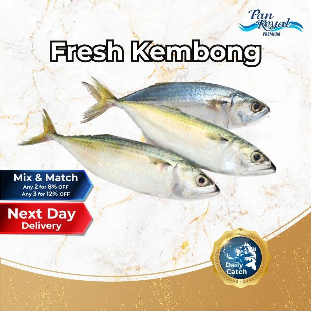 [PAN ROYAL] Fresh Kembong (450 - 550g +/-) – Pan Ocean Singapore - Sea ...